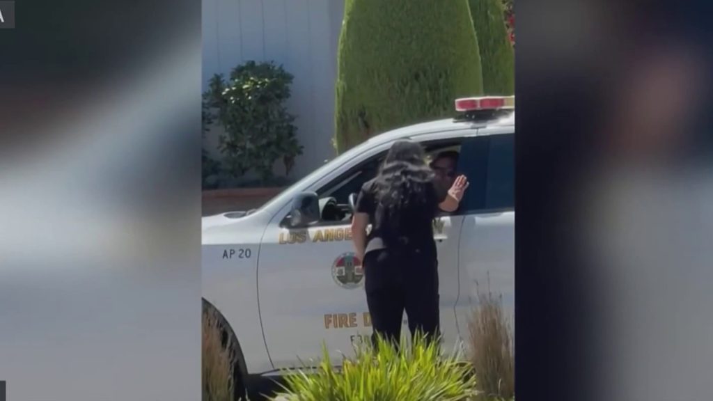 Woman crashes into police car after attacking LA County Fire personnel ...